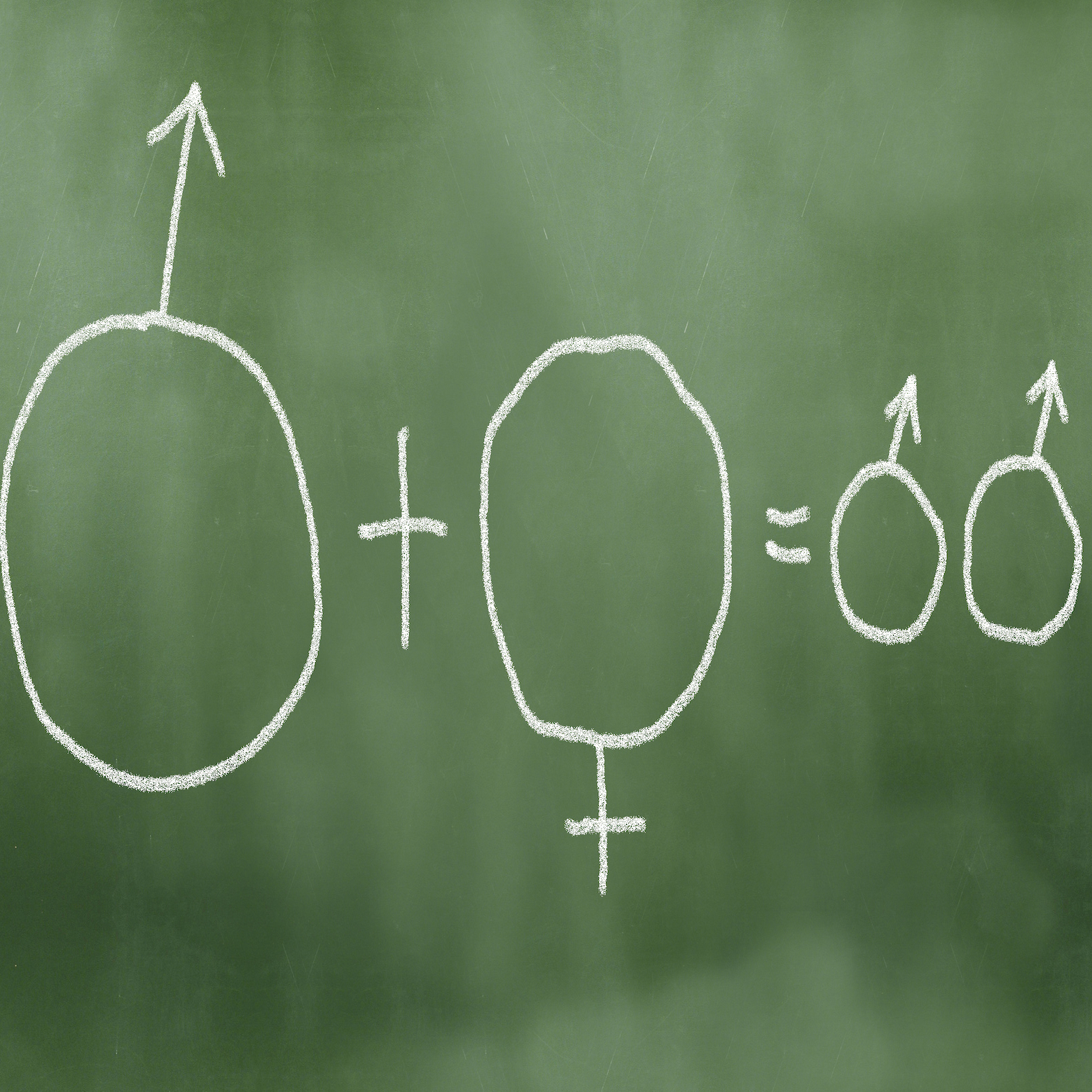 Gender Balance in Advertising & Marketing: It’s Time to Broaden the ...