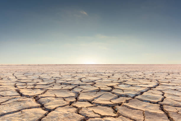 The Value of Brand-Building in a Fragmented Landscape – Q&A with John ...